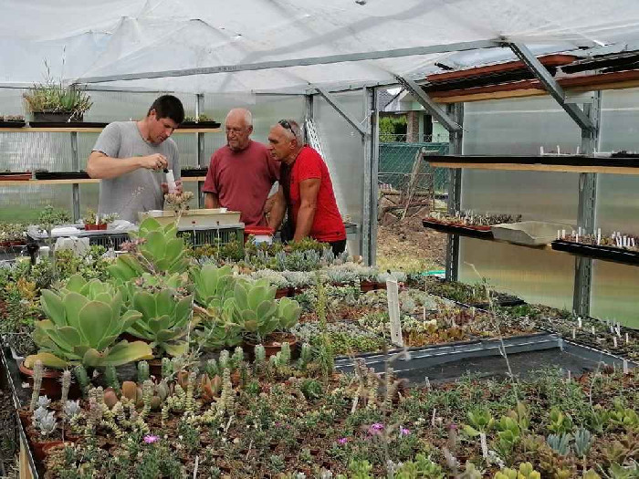 Kontakt Kaktusy a sukulenty Behul